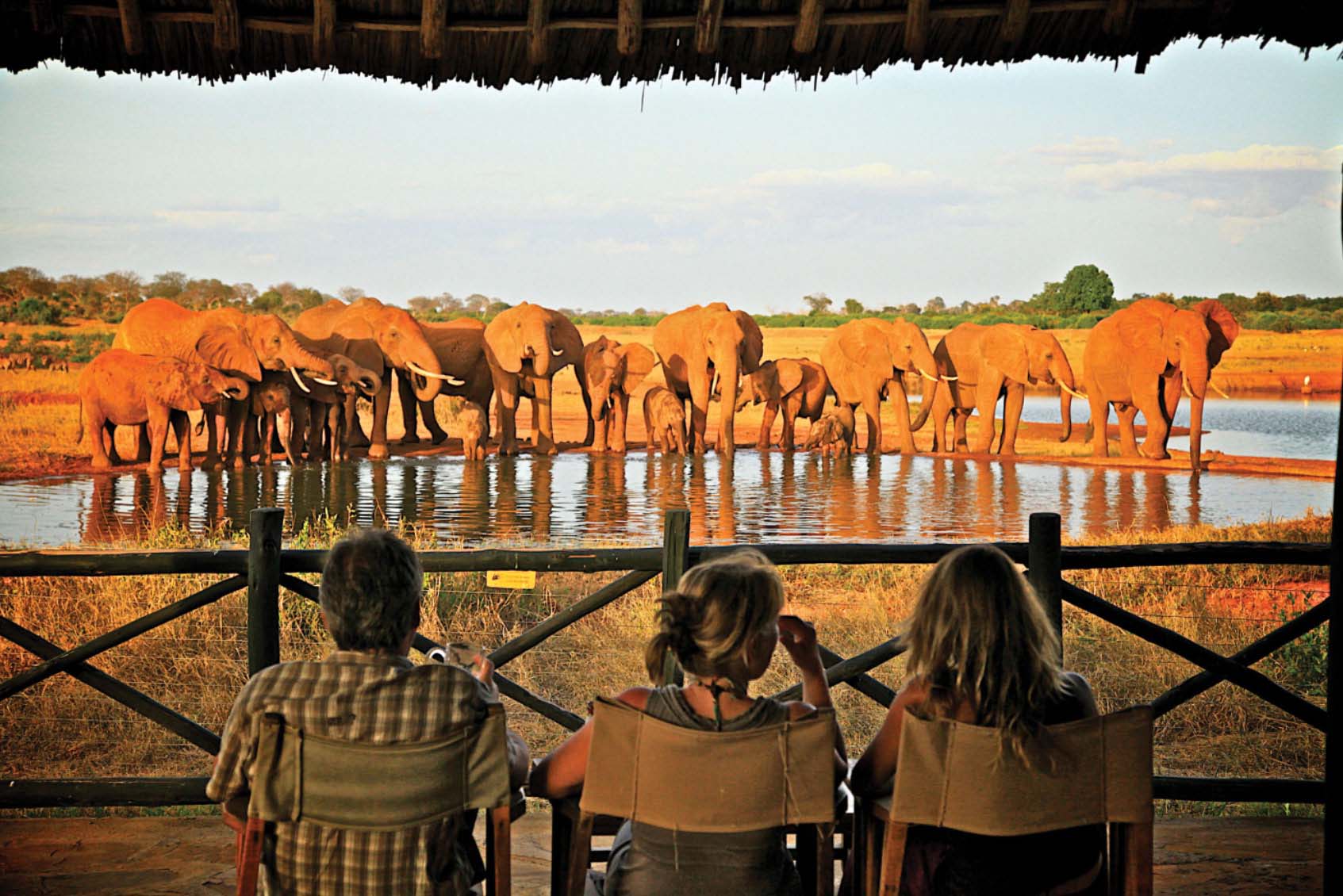 Voi Wildlife Lodge